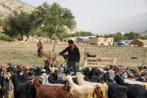 Qashqai people: Meeting authentic nomads of Iran - Against the Compass