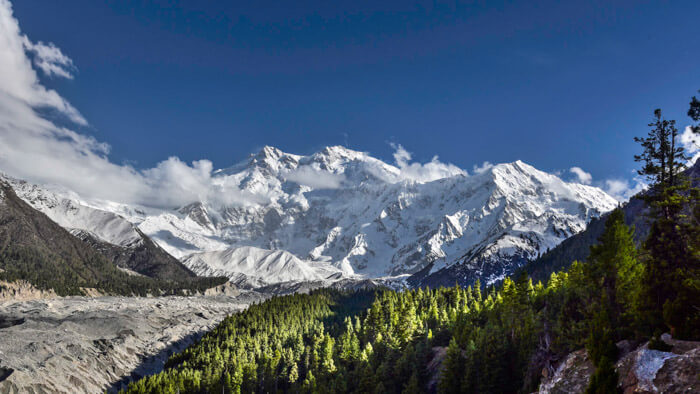 Fairy Meadows trek & Nanga Parbat Base Camp - A complete guide ...