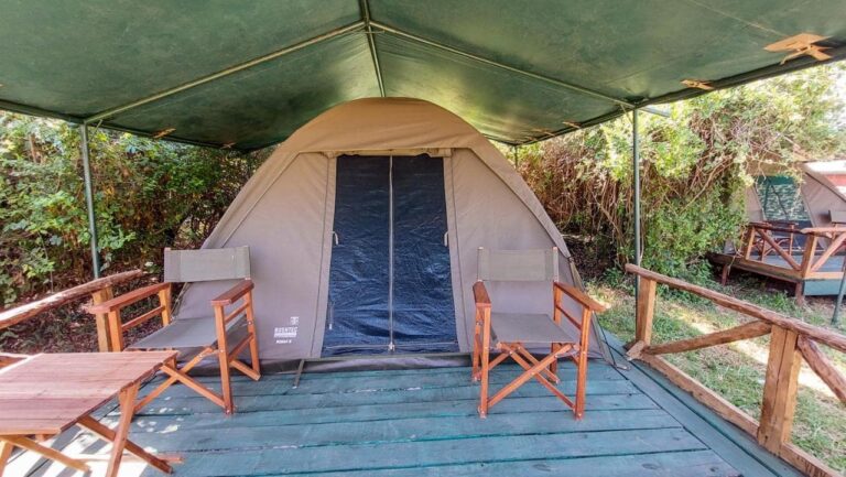 How To Do A Safari In Kenya On A Budget Step By Step Guide Against The Compass