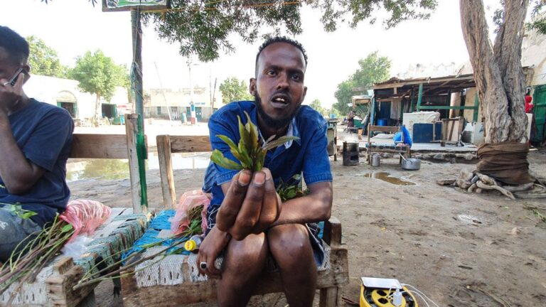 Tips and how to travel to Somaliland in 2022 - Against the Compass