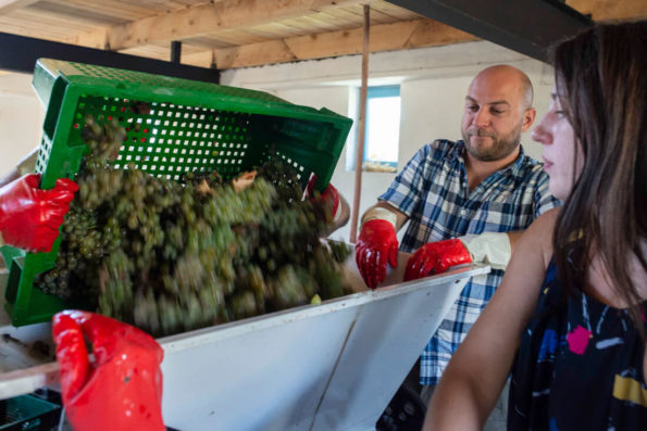 Cómo visitar Kajetia, la región del vino en Georgia - Against the Compass