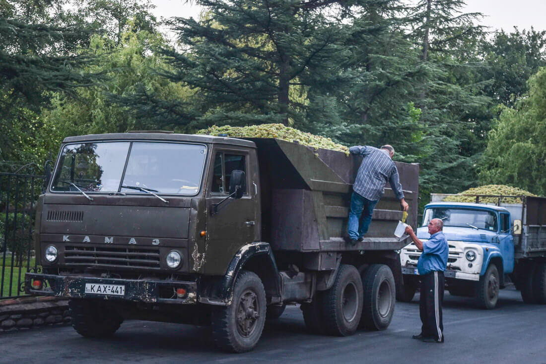 Cómo visitar Kajetia, la región del vino en Georgia - Against the Compass