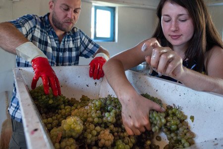 Cómo visitar Kajetia, la región del vino en Georgia - Against the Compass