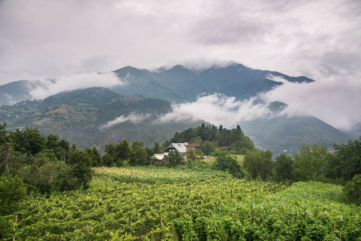 A guide to visiting Adjara mountains in Georgia - Against the Compass
