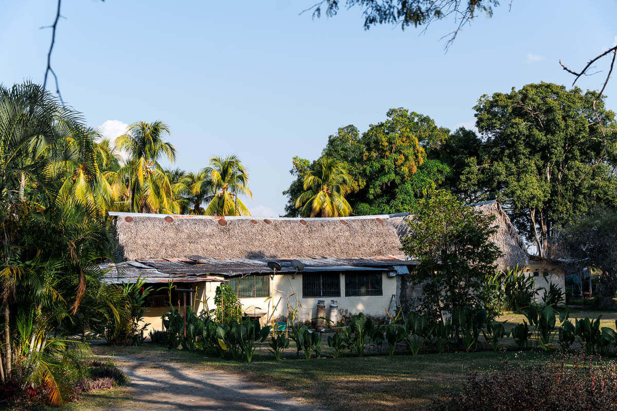 How to visit Los Llanos in Venezuela - Against the Compass