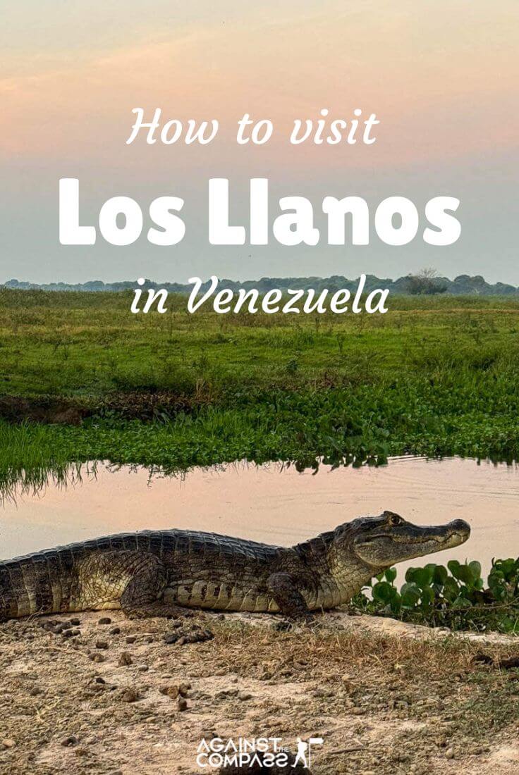How to visit Los Llanos in Venezuela - Against the Compass