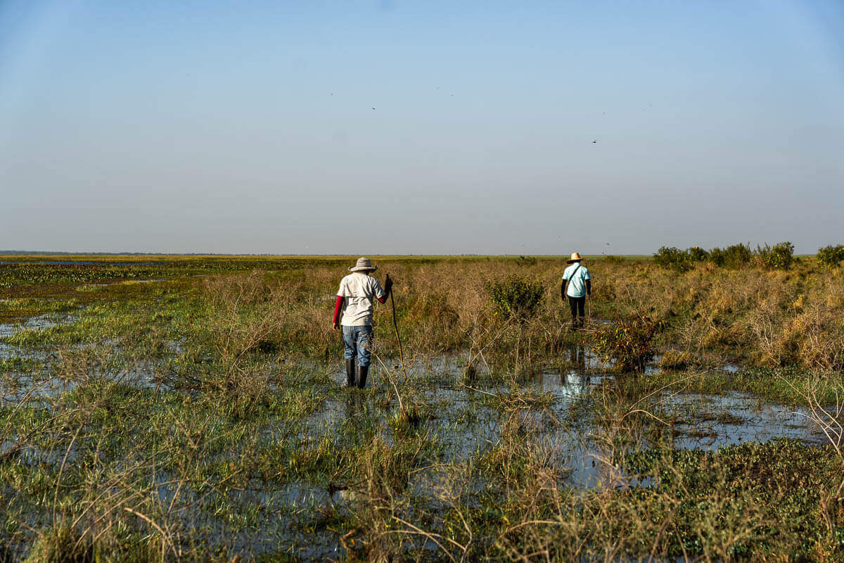 How to visit Los Llanos in Venezuela - Against the Compass