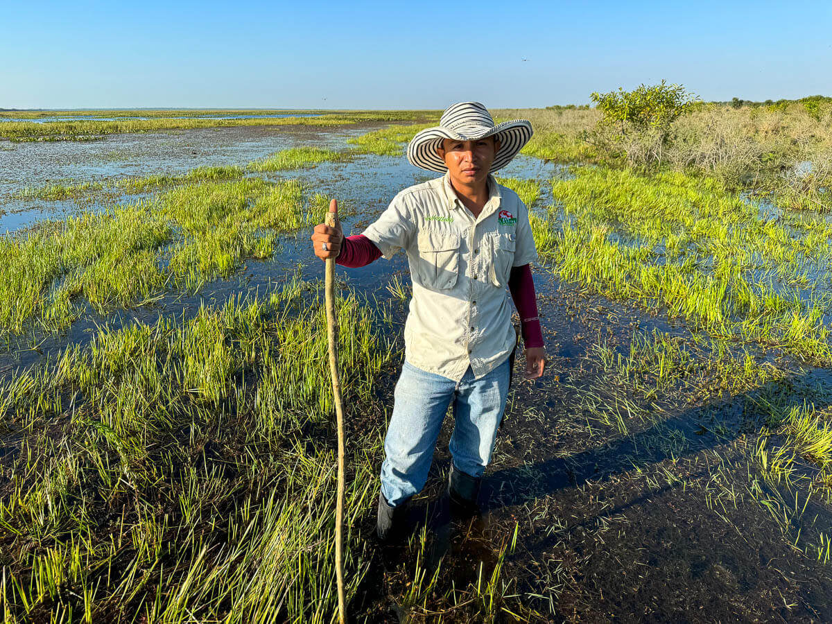 Cómo visitar Los Llanos en Venezuela - Against the Compass