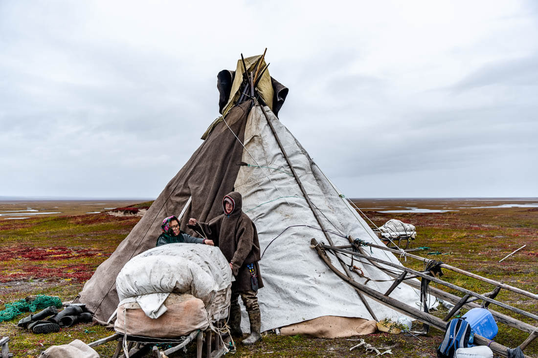 How to visit the Nenets in Yamalia (Arctic Russia) - Against the Compass