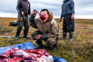 How to visit the Nenets in Yamalia (Arctic Russia) - Against the Compass