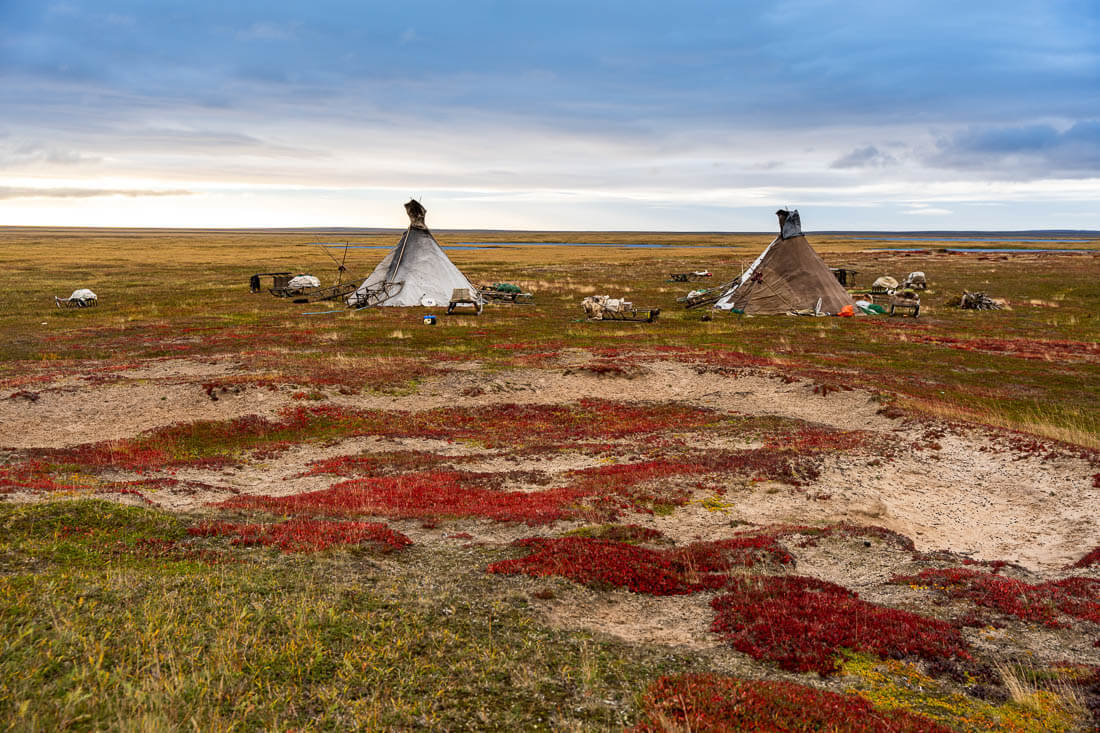 Cómo visitar a los Nenets en Yamalia (Rusia Ártica) - Against the Compass