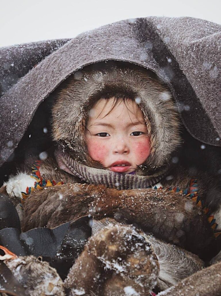 How to visit the Nenets in Yamalia (Arctic Russia) - Against the Compass