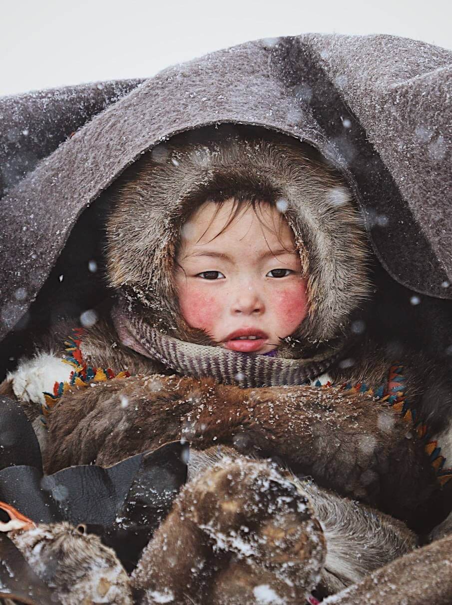 How to visit the Nenets in Yamalia (Arctic Russia) - Against the Compass