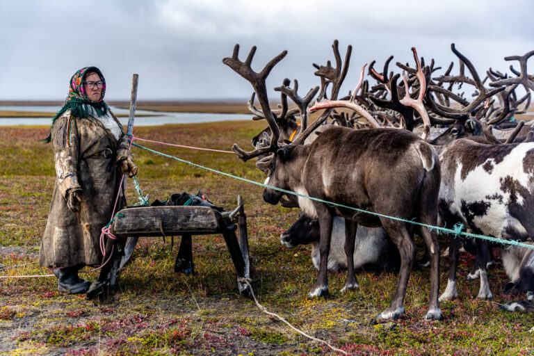 How to visit the Nenets in Yamalia (Arctic Russia) - Against the Compass