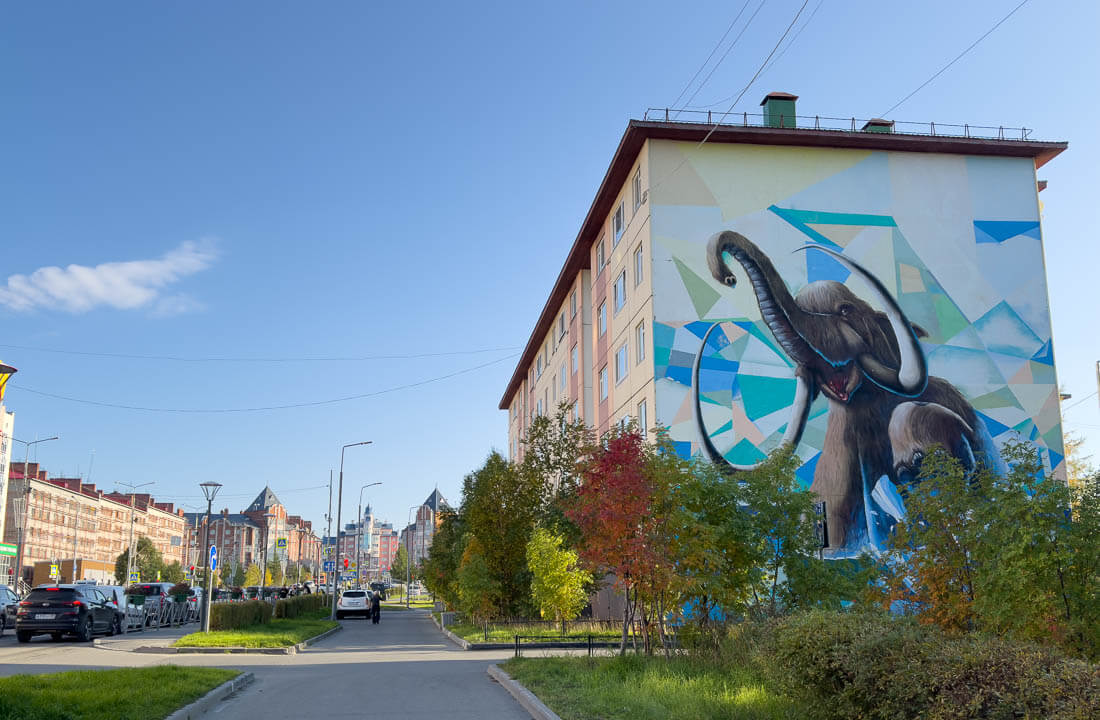 How to visit the Nenets in Yamalia (Arctic Russia) - Against the Compass