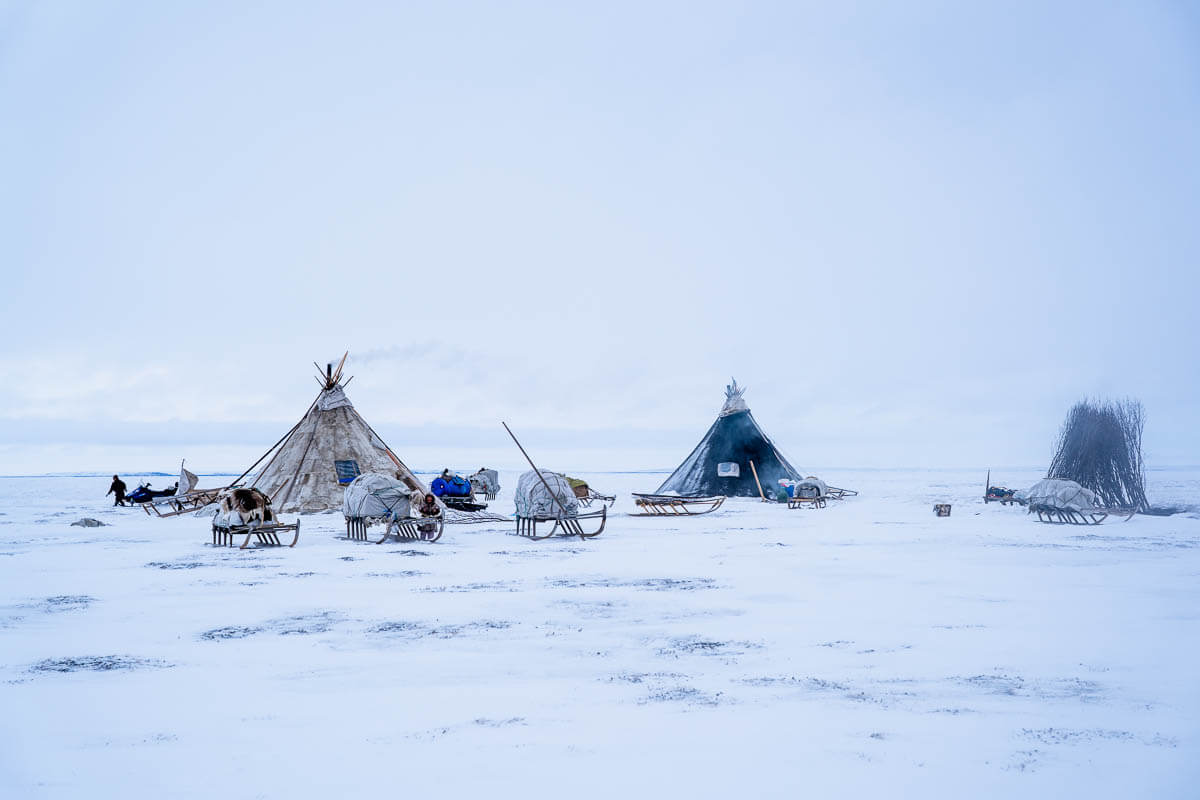 30 photos that will make you want to visit the Nenets in Siberia ...
